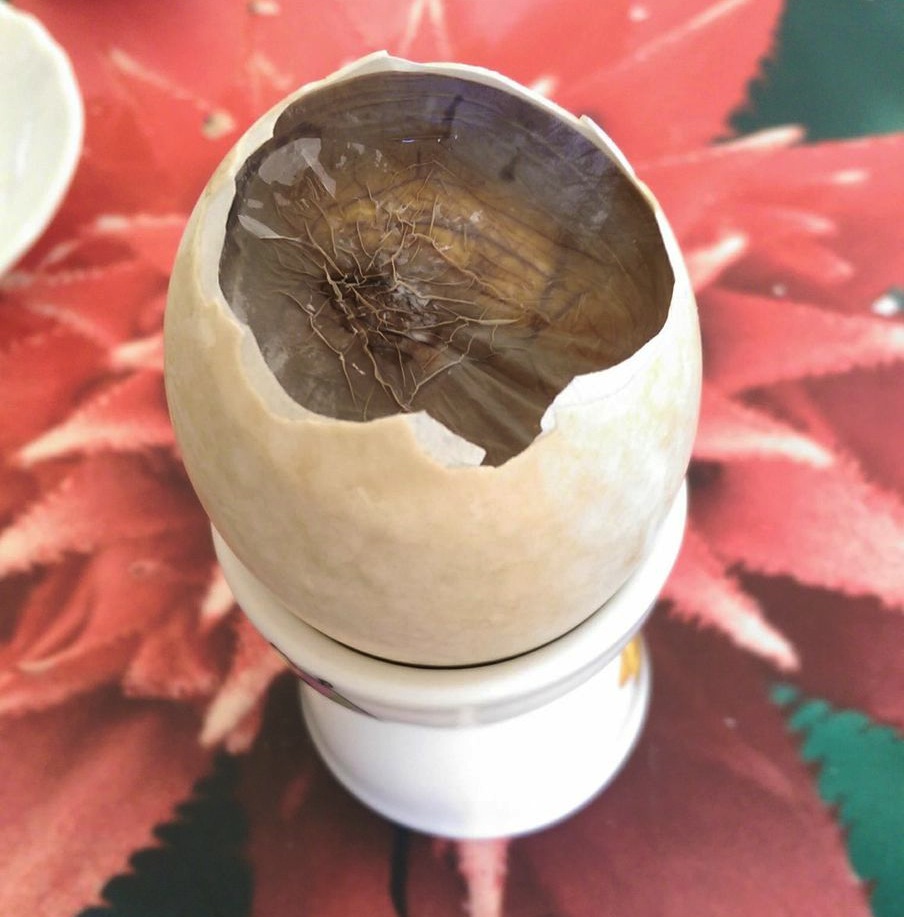 Southeast Asia: Developing Duck Embryo | Food Touring